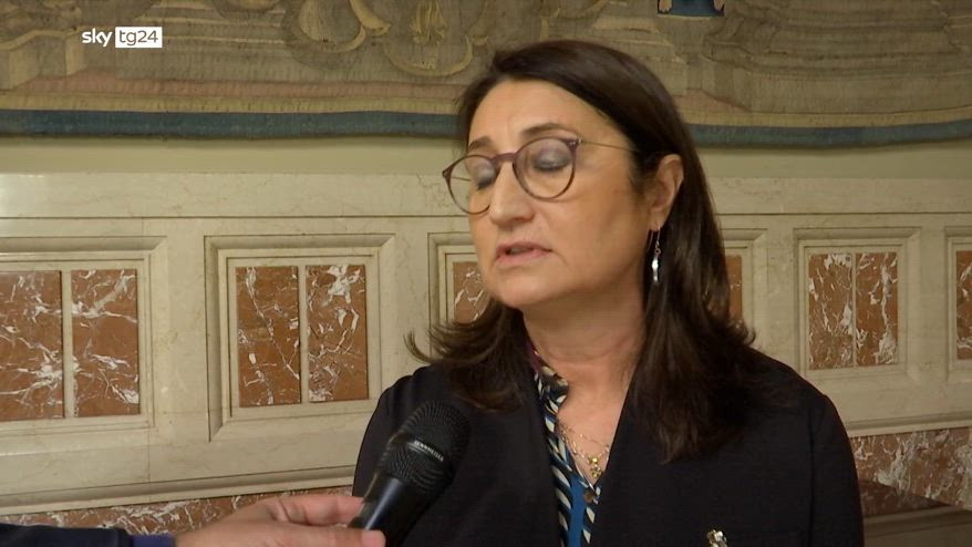 Violenza in ospedale, Liccardi (Cardarelli): medici in fuga | Video Sky